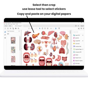 Biology & Anatomy Stickers Bundle, Biology Stickers for Goodnotes, Pre ...