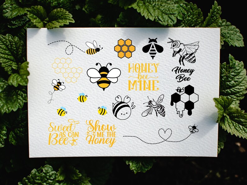 BEE Svg Bundle Honeybee Svg Bee Svg Bee Png Bee Clipart - Etsy