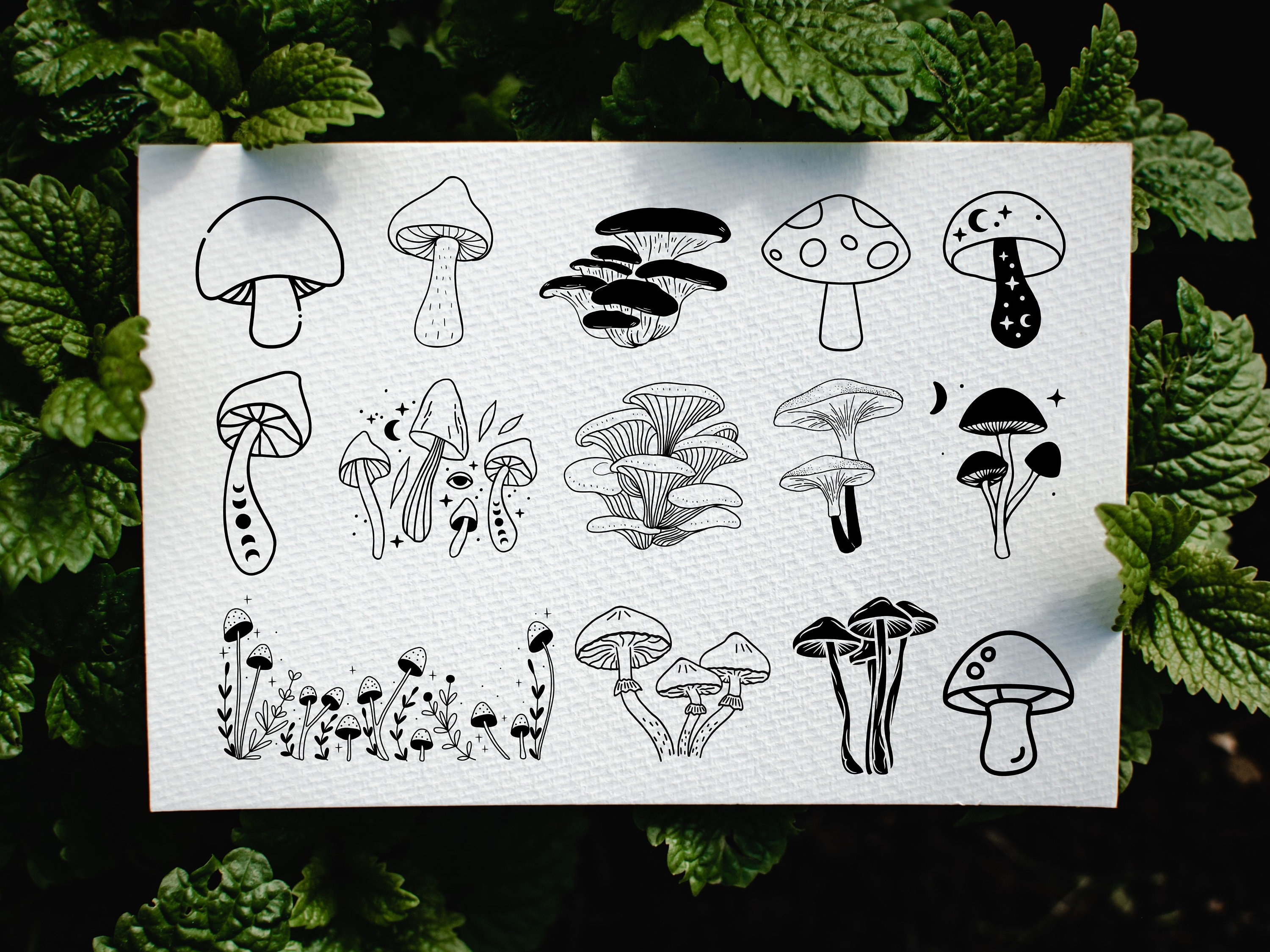 Paquete SVG de setas, Png de setas, svg de setas mágicas, svg de setas ...