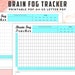 Monthly Brain Fog Tracker, Printable Brain Fog Tracker, Chronic Brain ...