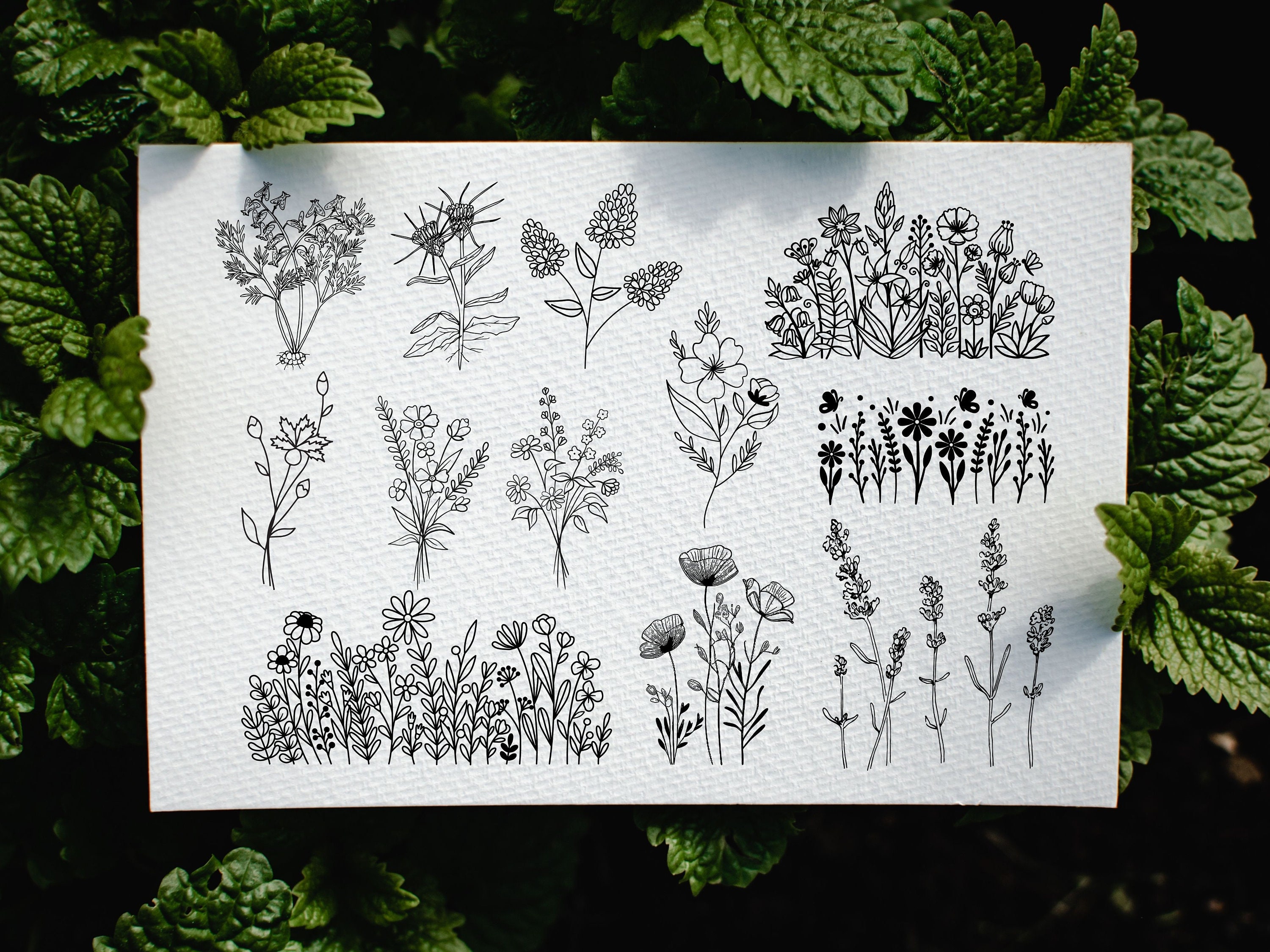 Wildflower Svg Bundle Wild Flowers Clipart Flower Svg - Etsy