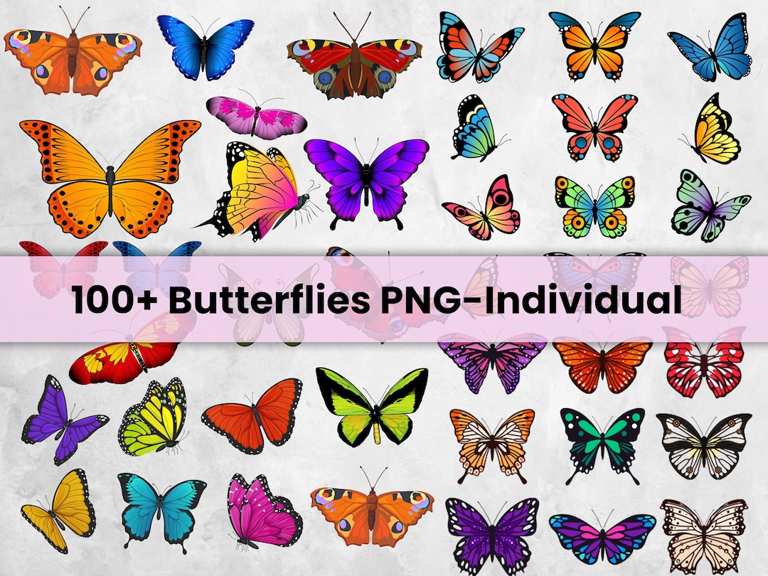 100 Butterflies PNG, 100 Butterflies Illustration Bundle, Butterflies ...