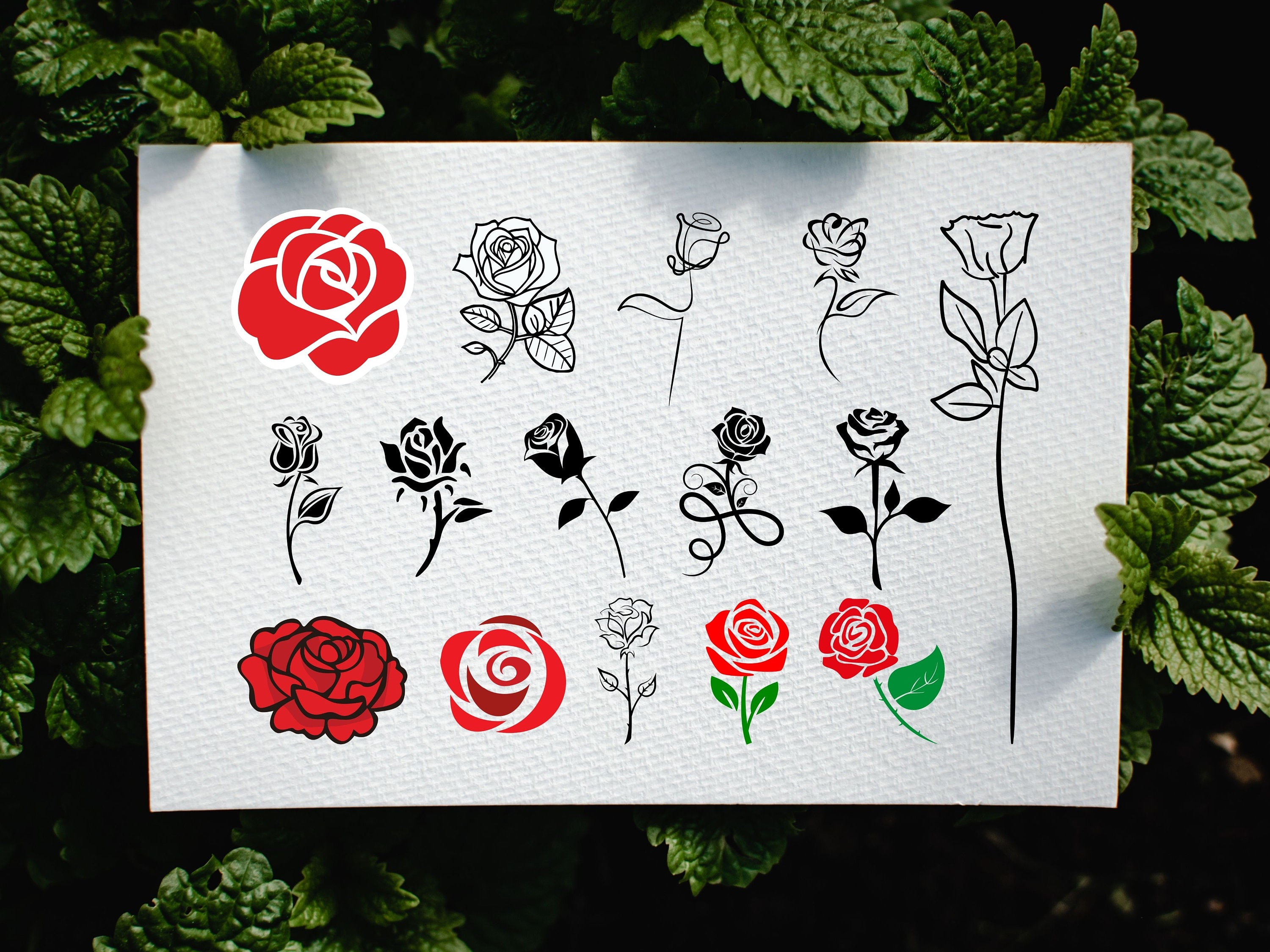 ROSE SVG Bundle, Rose Svg, Rose Clipart, Rose Cut File, Roses Svg, Rose ...