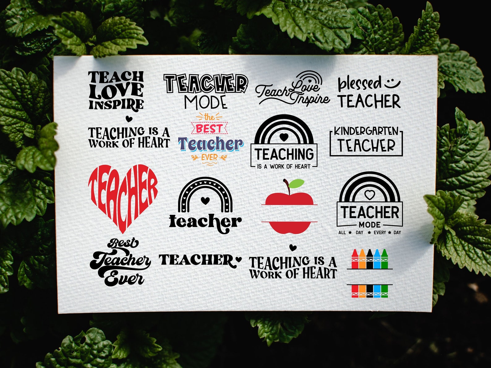 Teacher Svg Bundle, Teacher Appreciation Svg, Teacher Quote Svg ...