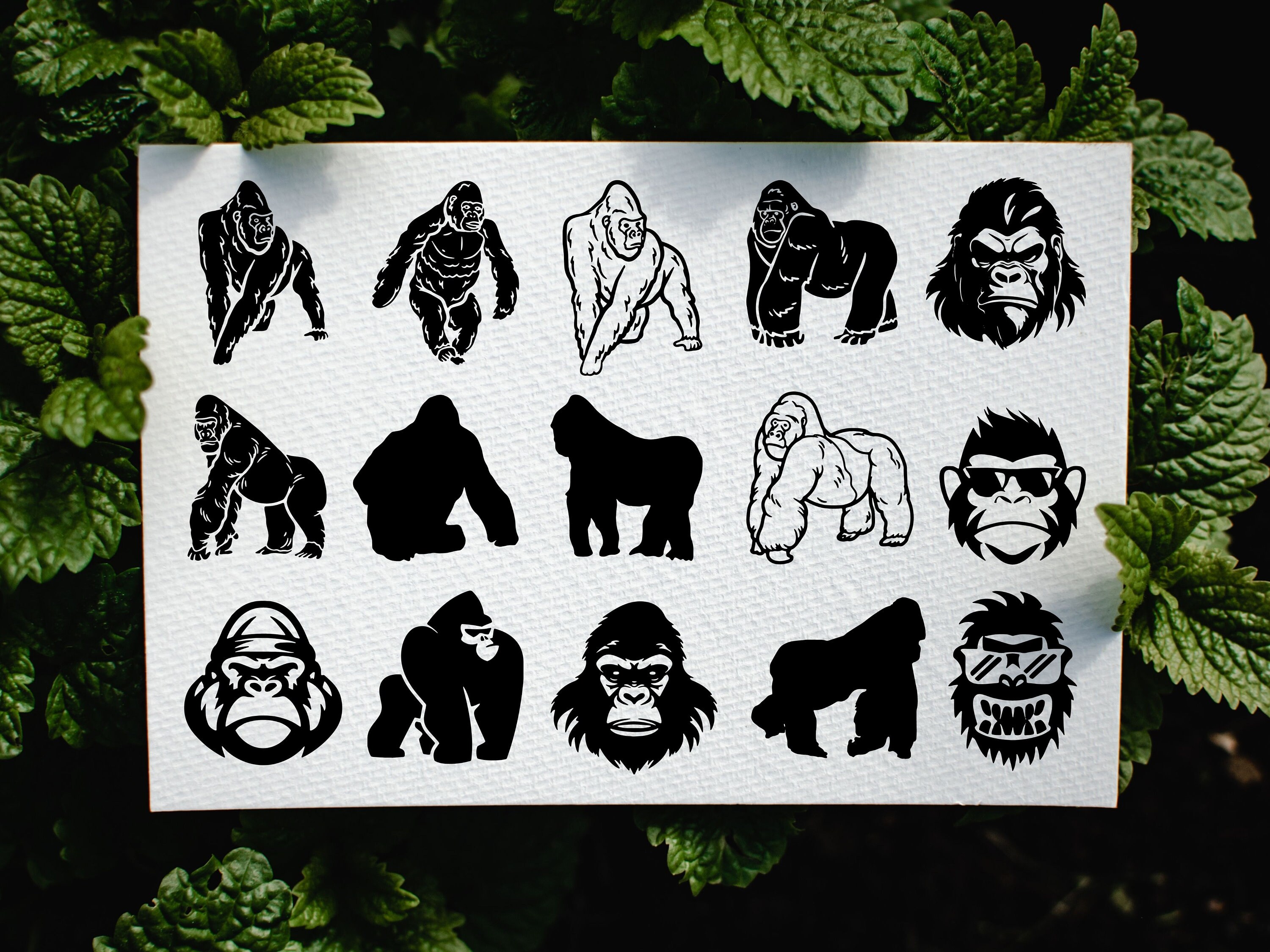 Gorilla Svg Bundle, Gorilla Svg, Monkey Svg, Gorilla Png, Gorilla Shirt ...