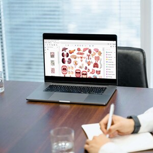 Biology & Anatomy Digital Stickers, Biology Stickers for Goodnotes, Pre ...