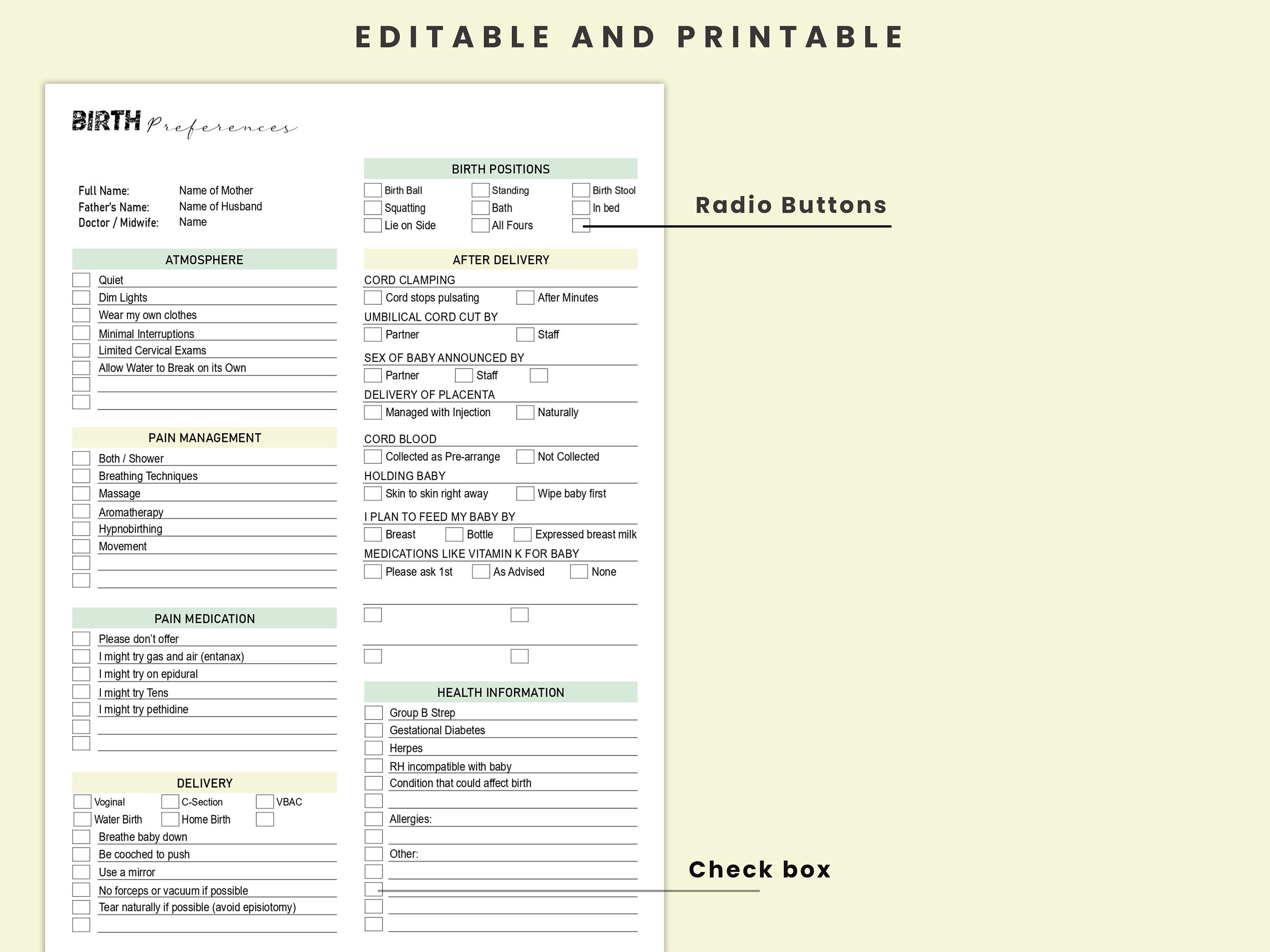 Editable Birth Plan Template, Editable Birth Plan, Printable Birth Plan ...