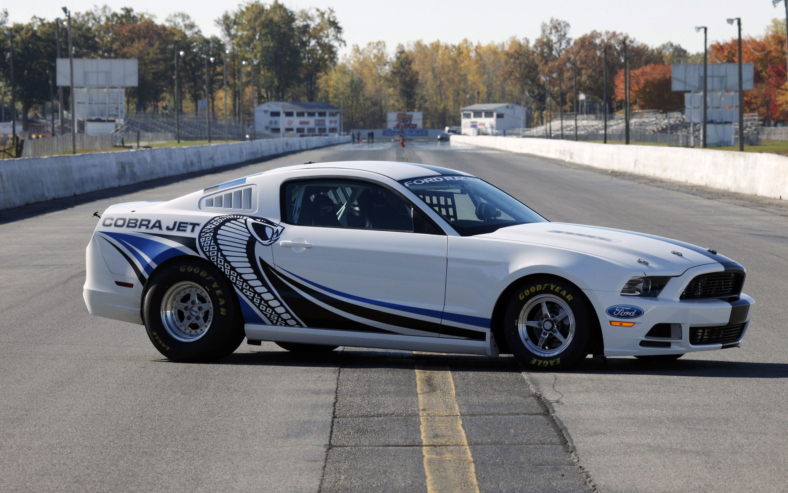 Mustang Cobra Jet Wallpaper
