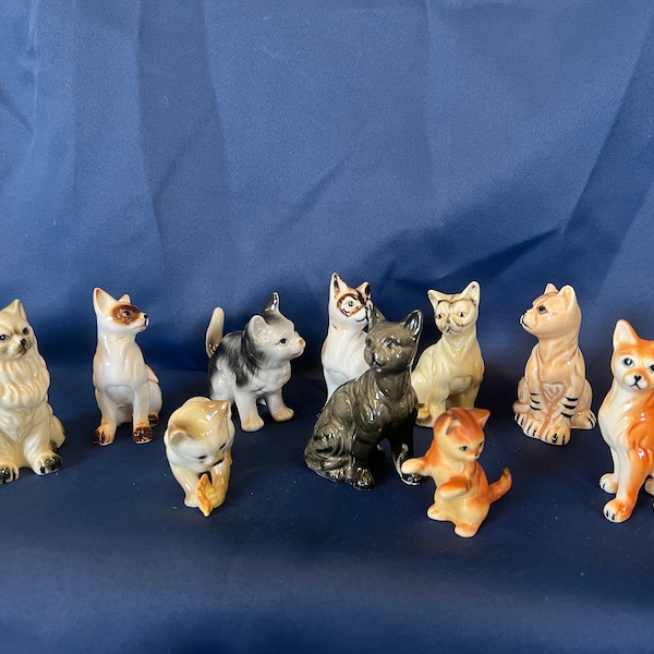 Cat Collection - Etsy