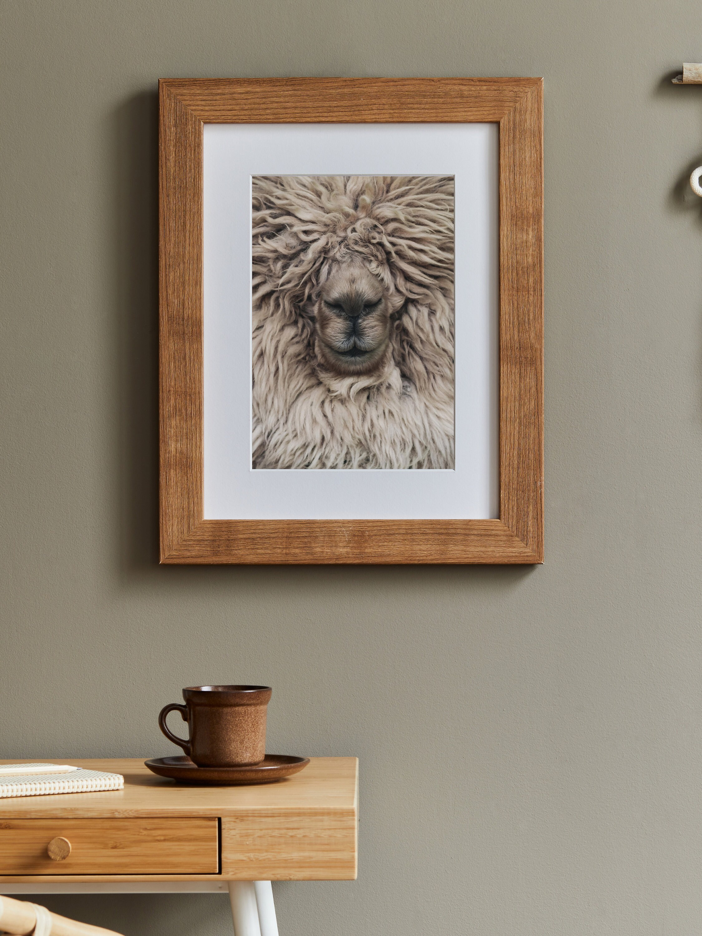 Alpaca Poster Animal Face Photography Lama Portrait Printable Nursery ...