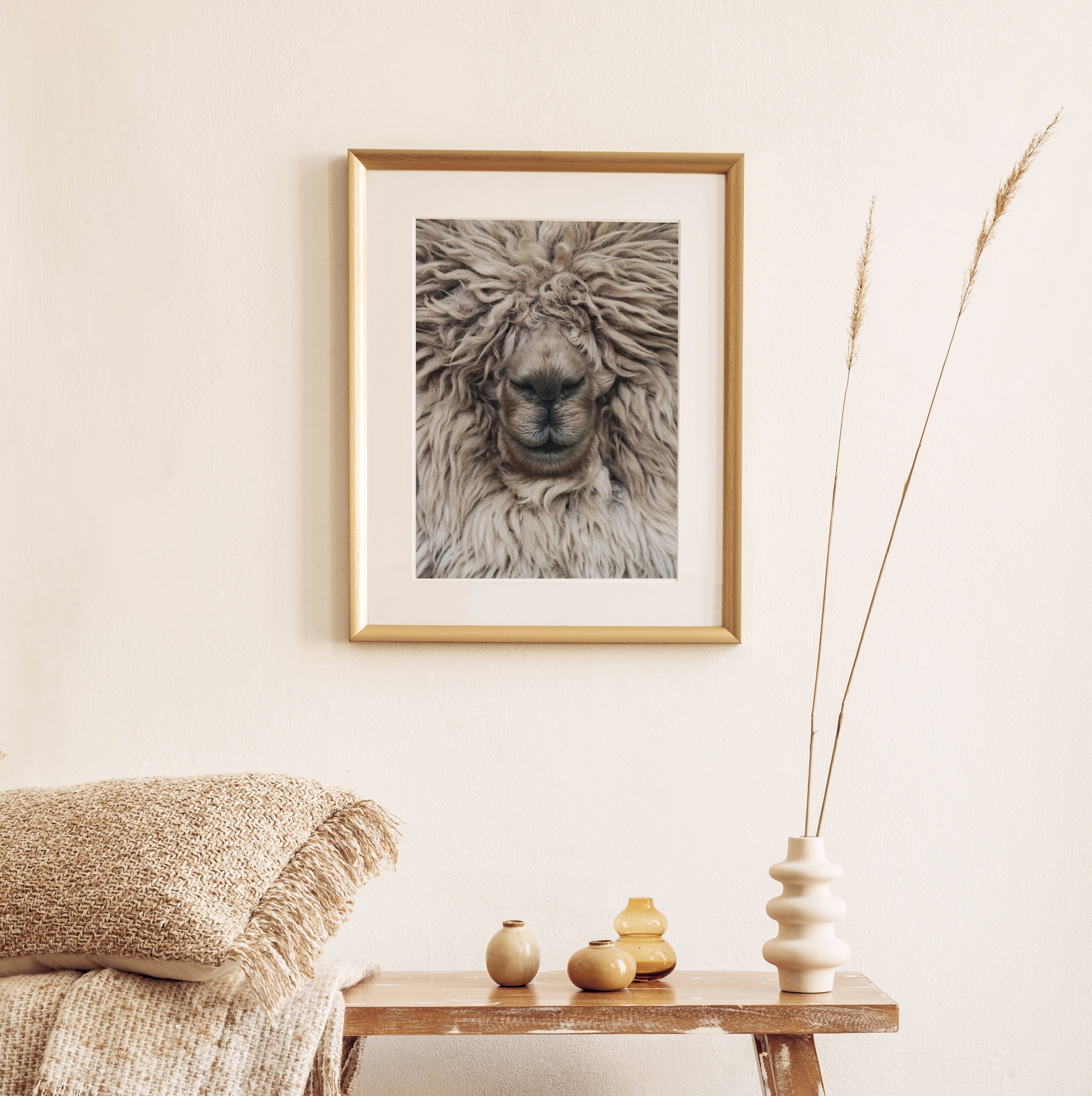 Alpaca Poster Animal Face Photography Lama Portrait Printable Nursery ...