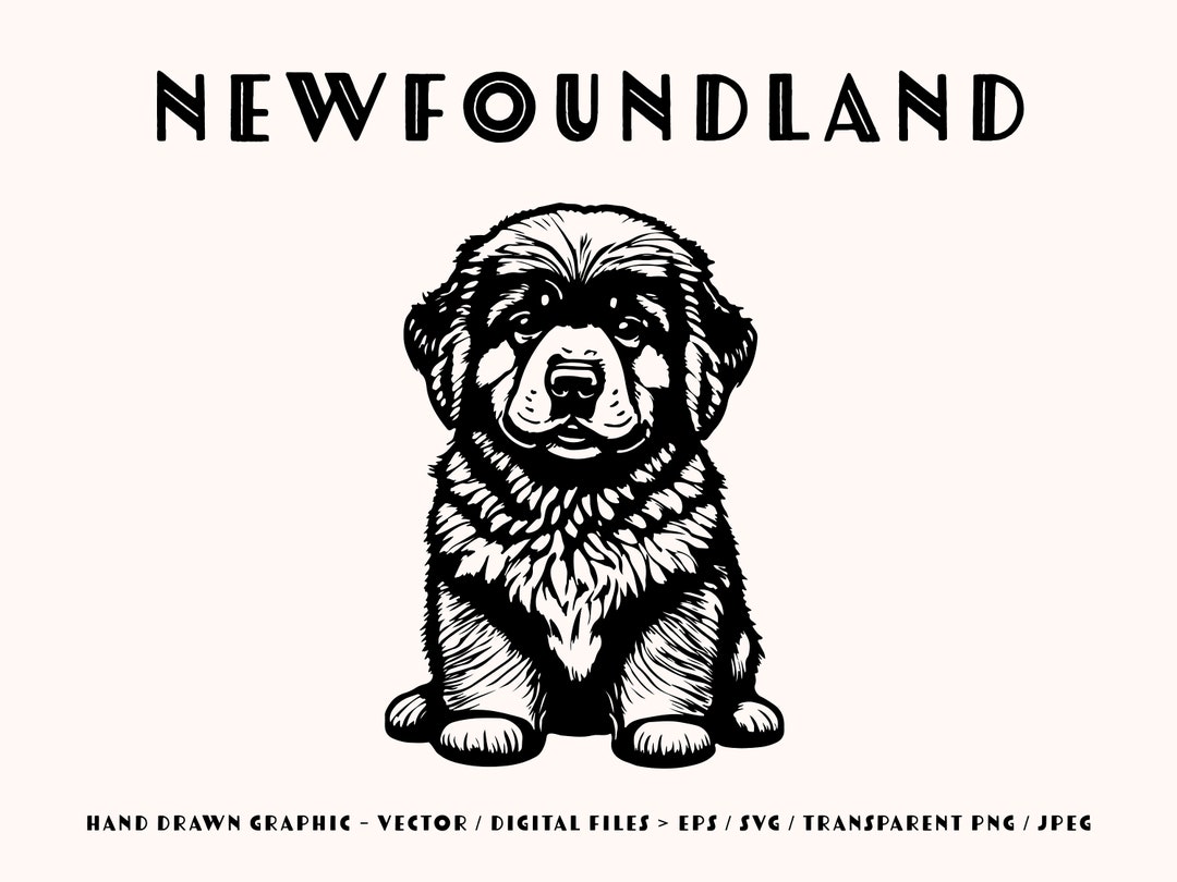 Newfoundland Vector Svg Transparent Png Eps Jpeg Print Newfie - Etsy
