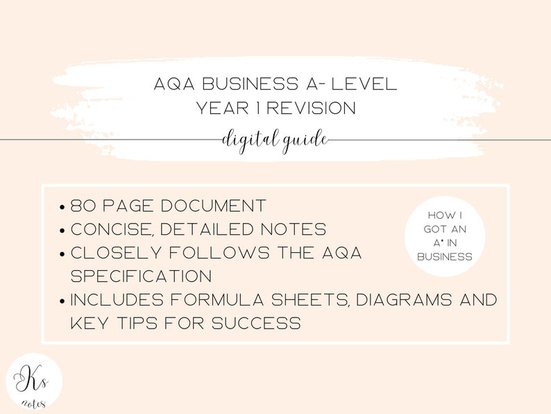 AQA Business A- Level Revision Notes for Year 1 A- Level (AS Level ...