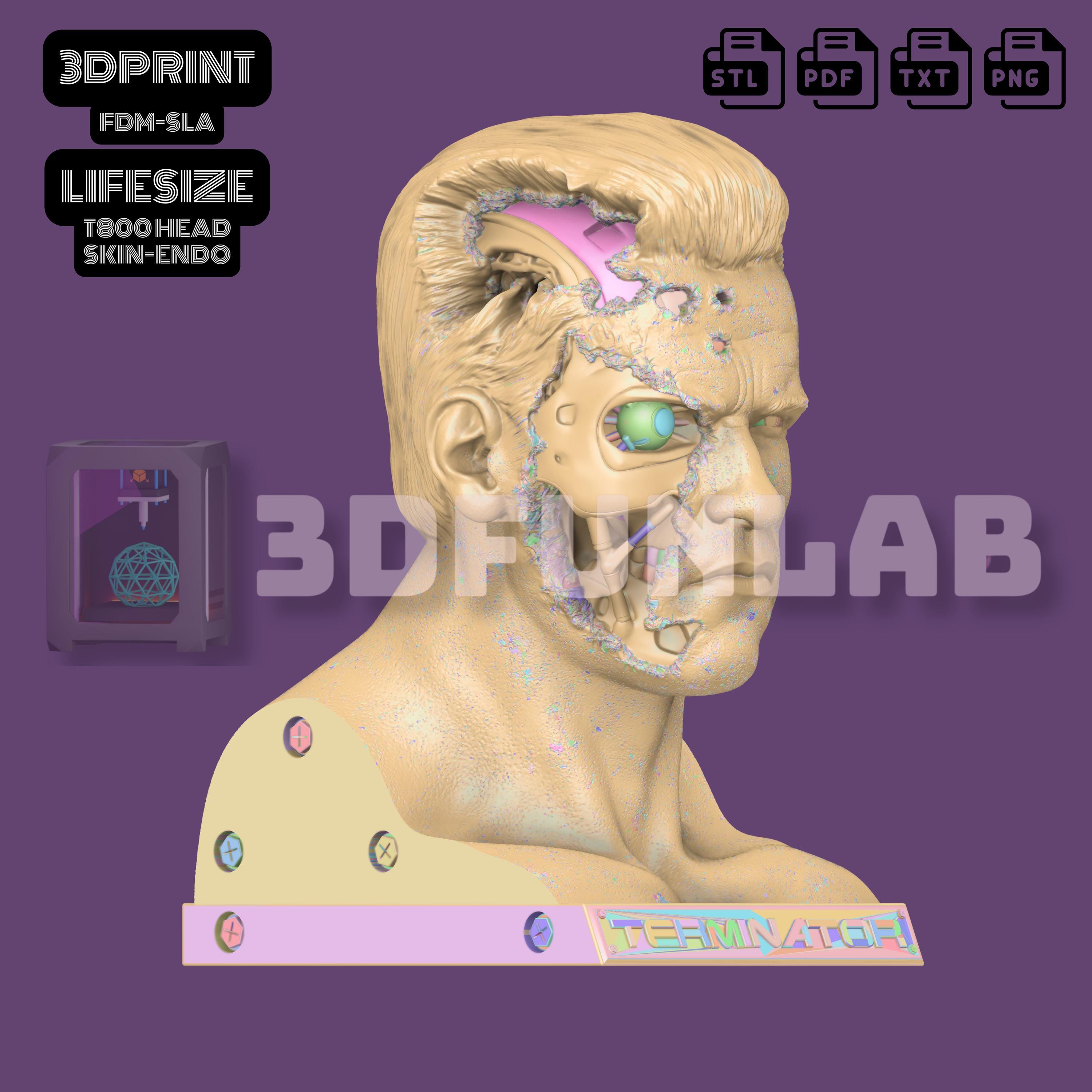 Terminator T2 Head-skull / Skin-endoskeleton, Real Details, Life Size ...