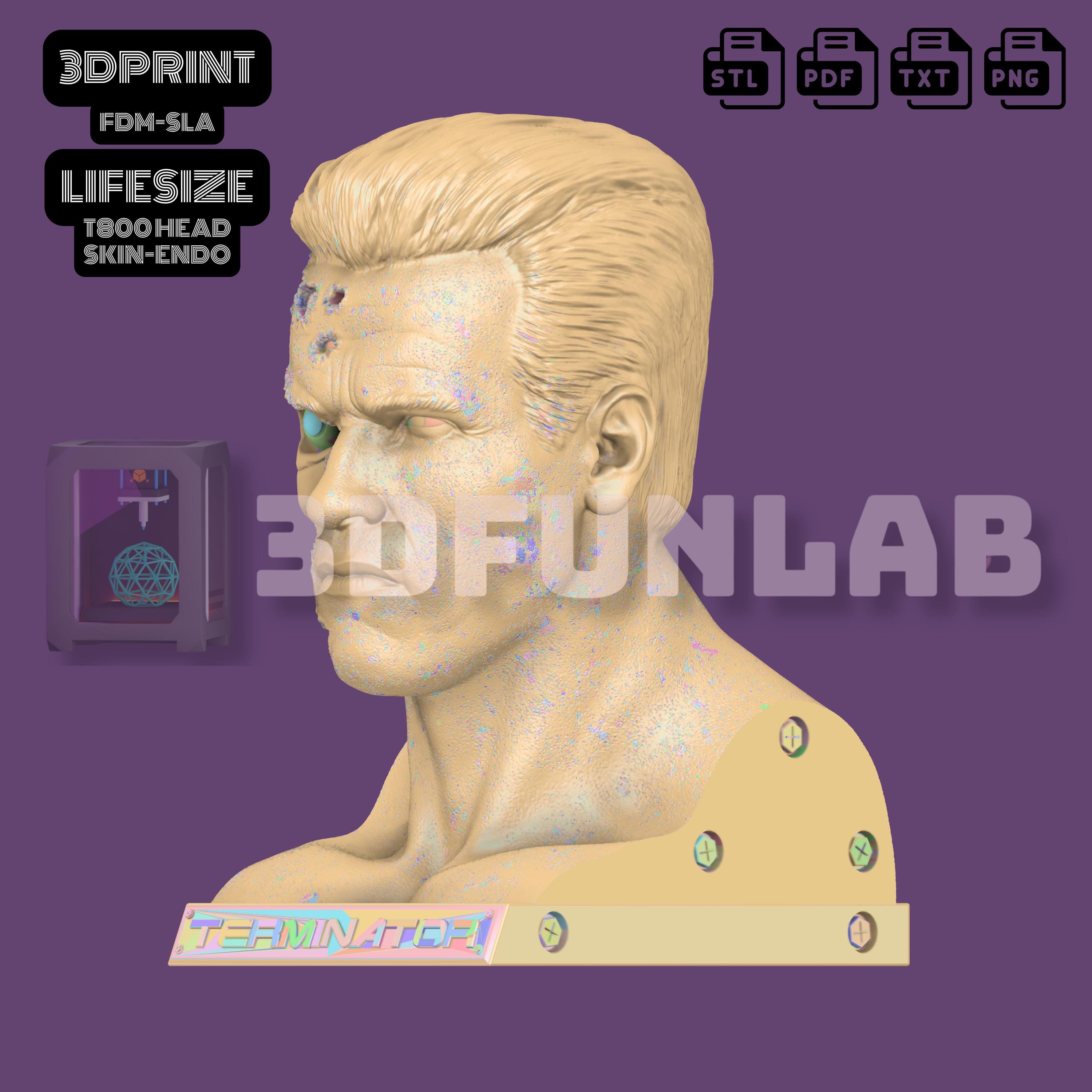 Terminator T2 Head-skull / Skin-endoskeleton, Real Details, Life Size ...