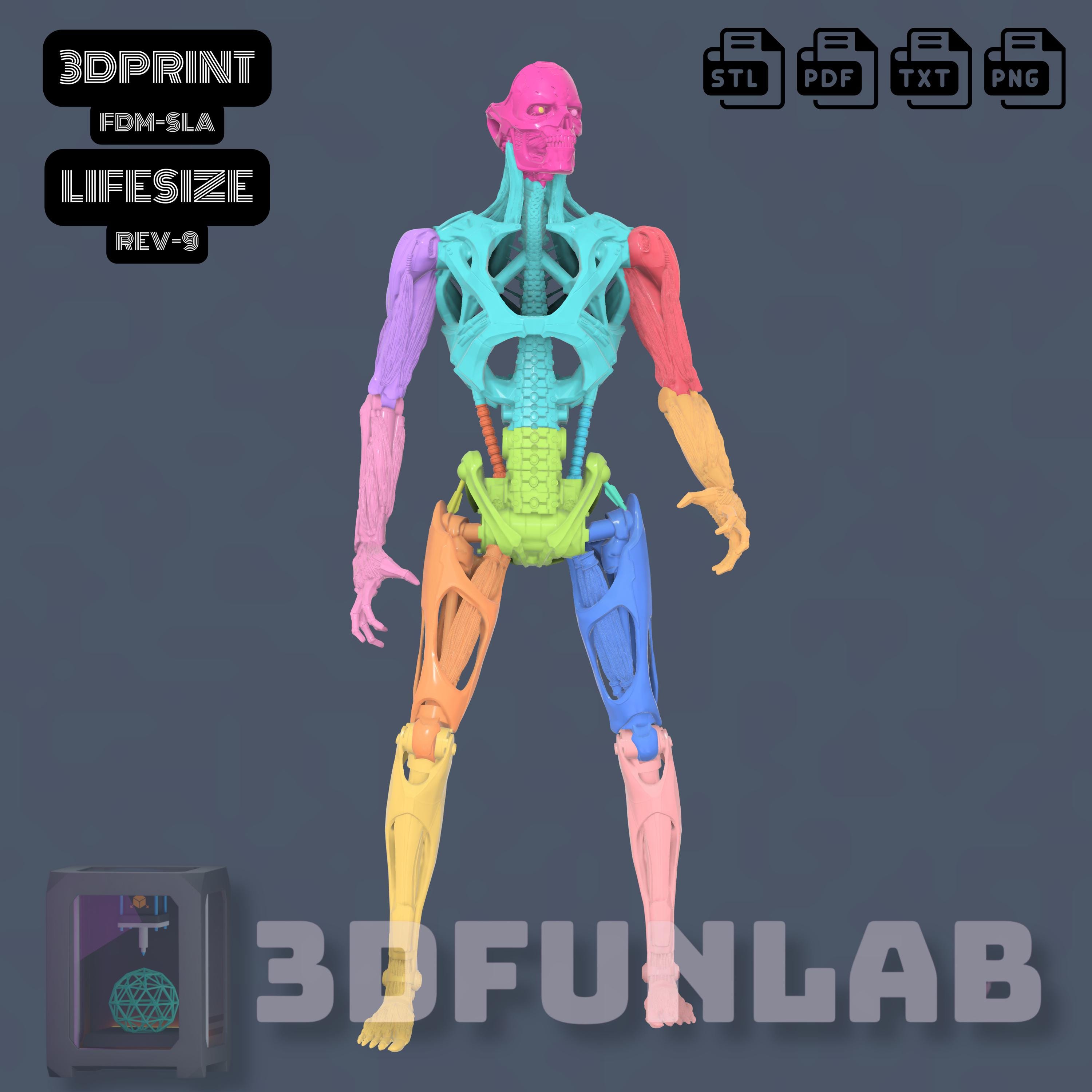 Terminator Rev-9 Endoskeleton, Real Details, Life Size, Assembly ...