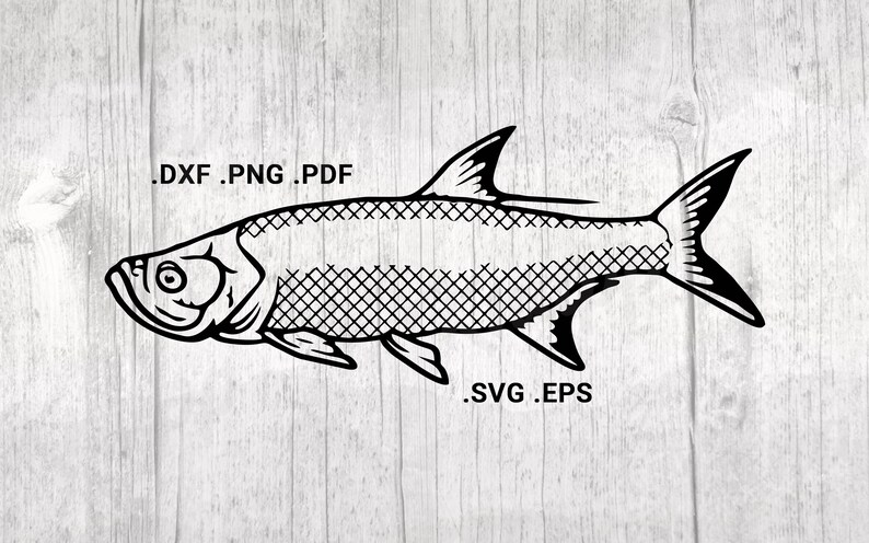 Fishing Tarpon Vector File. .eps .png .svg .dxf .pdf Put - Etsy