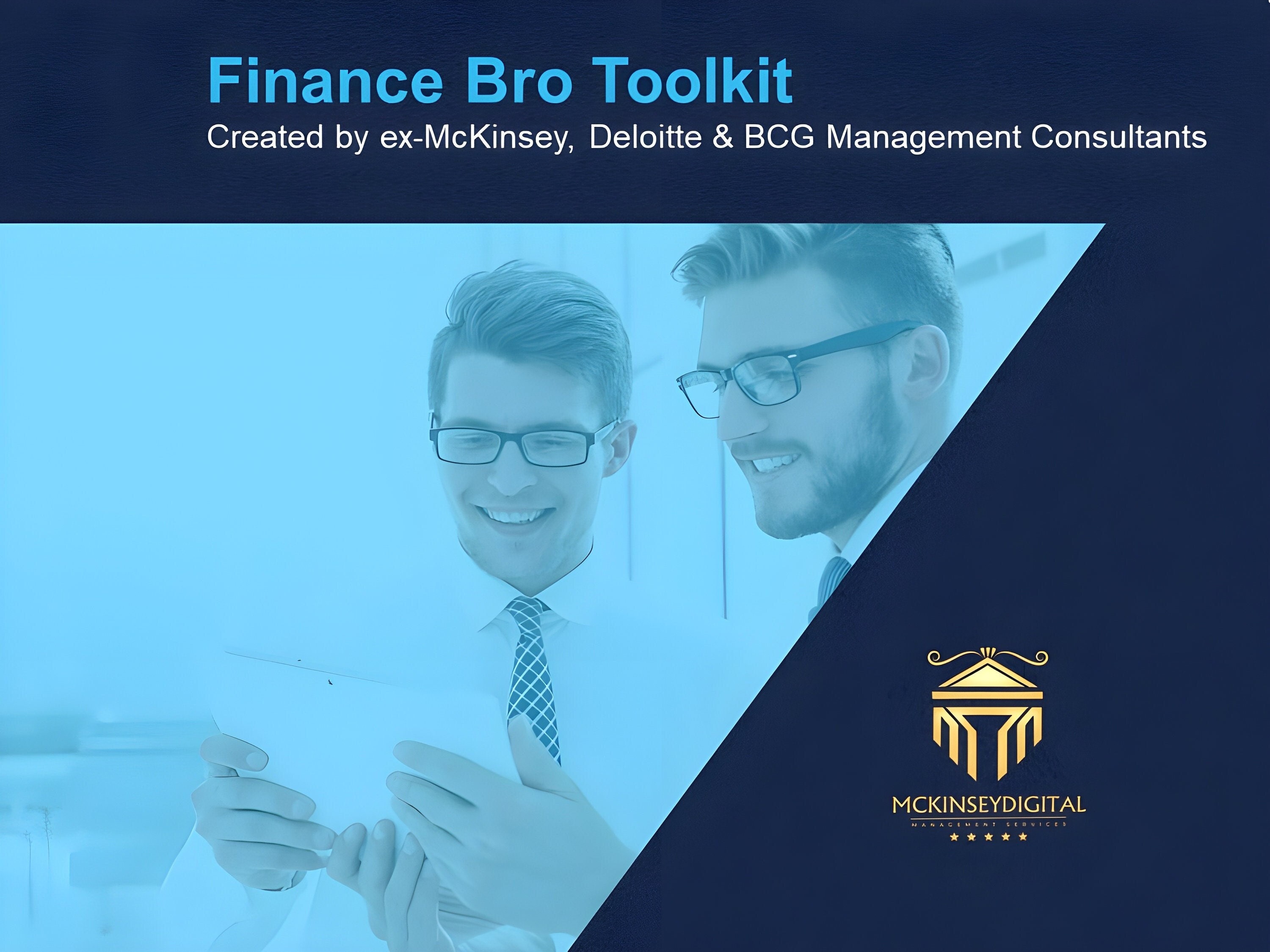Finance Bro: Maximizing Financial Returns, Under 20US - Etsy