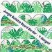 Jungle Bulletin Board Borders for Classroom Decor 4 Designs for Jungle ...