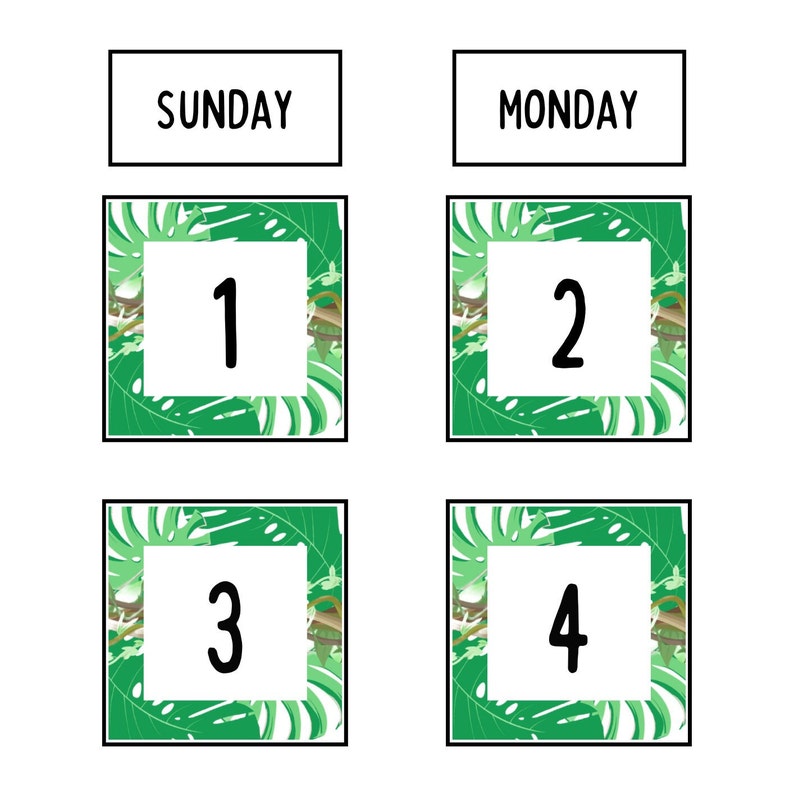 Jungle Classroom Calendar Set | Includes Days of Week, Months of Year ...