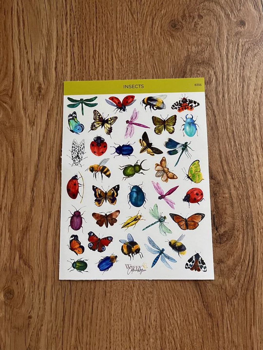 Insects Butterflies Beetles Stickers Waterproof & Very Stable ...