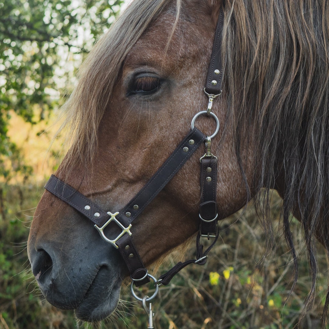 Western Horse Tack, Leather Horse Tack, Western Horse Bridal, Gift for ...
