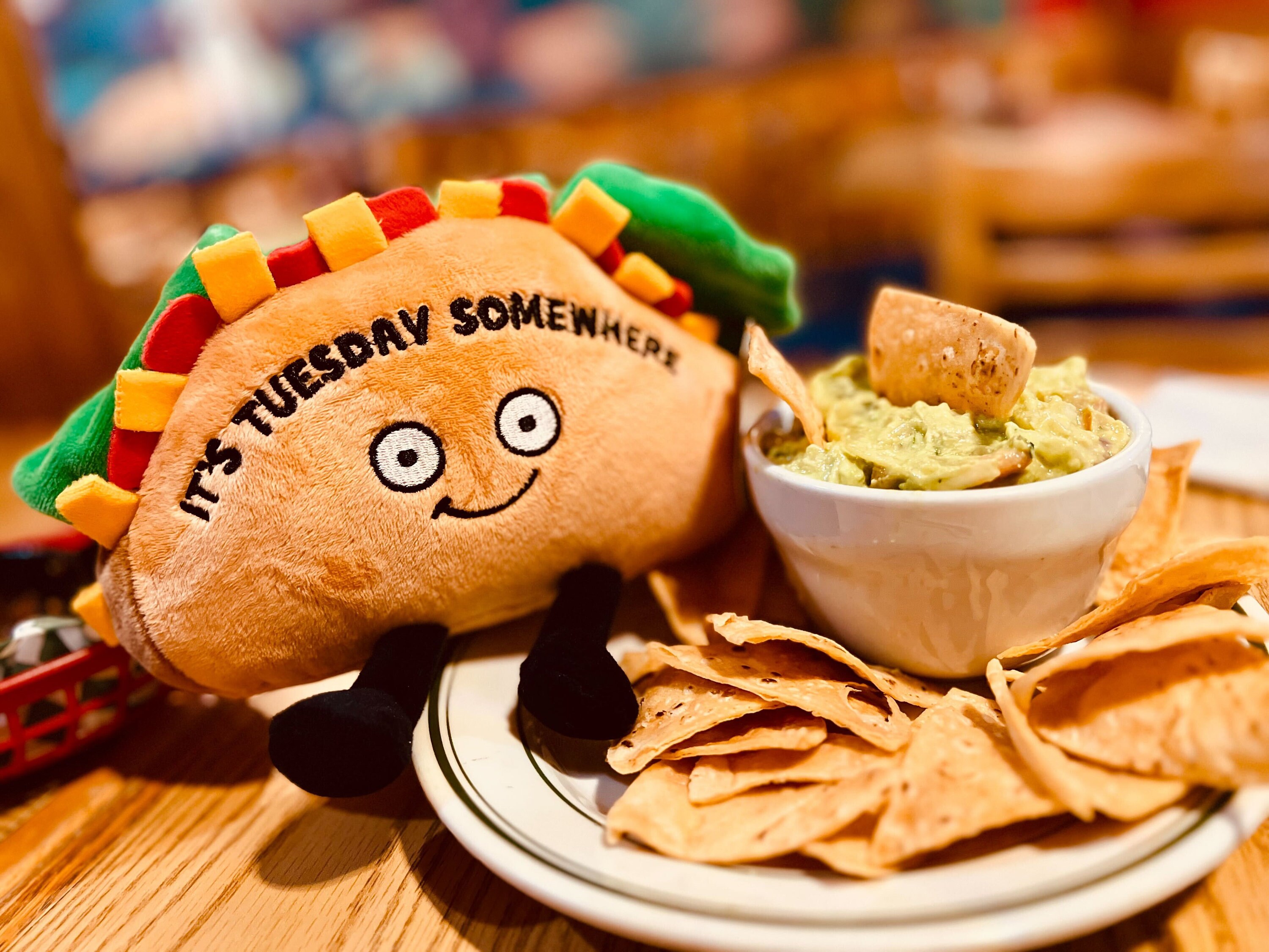 Punchkins Plush Gifts it's Tuesday Somewhere - Etsy