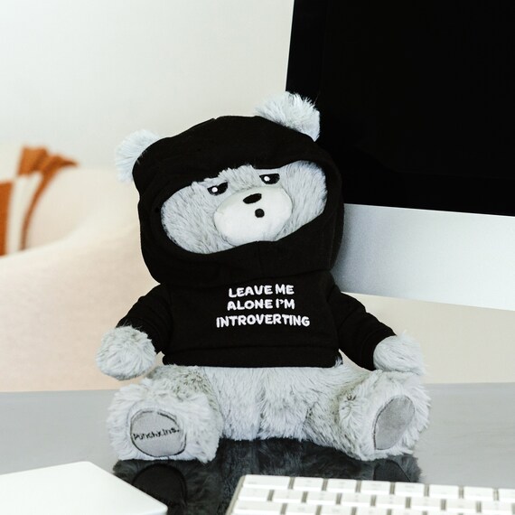 Punchkins Plush Gifts leave Me Alone I m Introverting Funny Novelty Introvert Bear Plushie Etsy UK