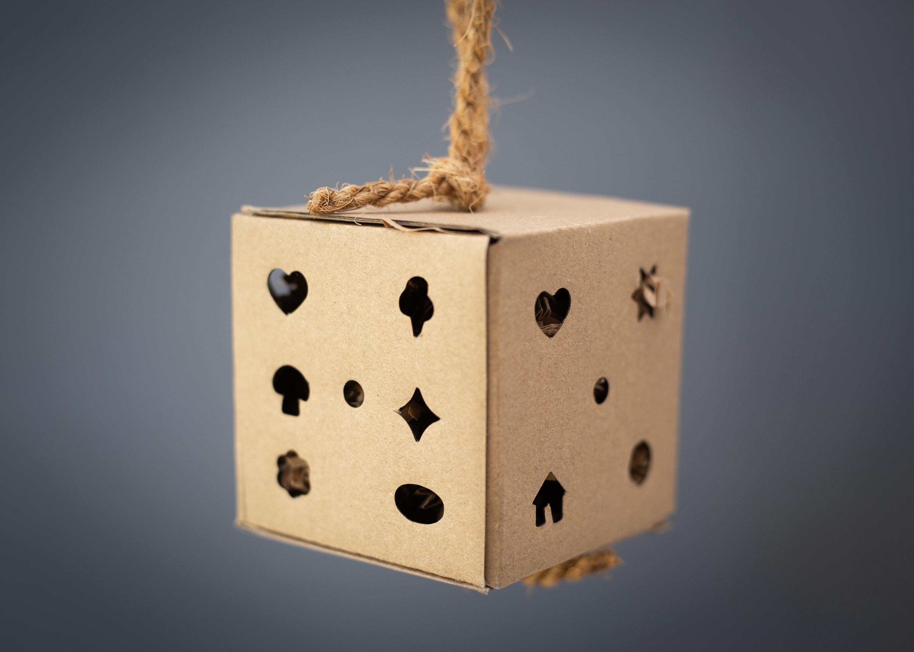 FORAGING FUN BOX Foraging Toy for Parrots, Toy for Small and Medium ...