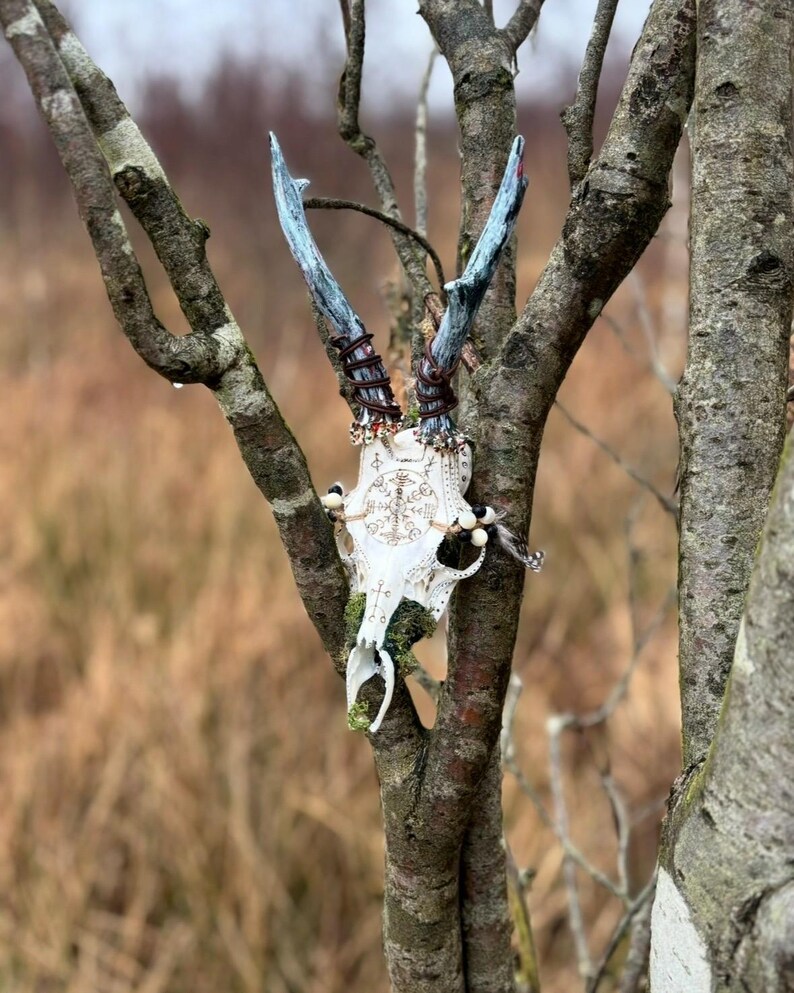 Deer Skull With the Icelandic Sigil Veldismagn - Etsy