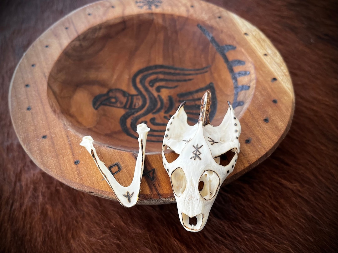Skull of a Turtle With Runes, Pyrography - Etsy