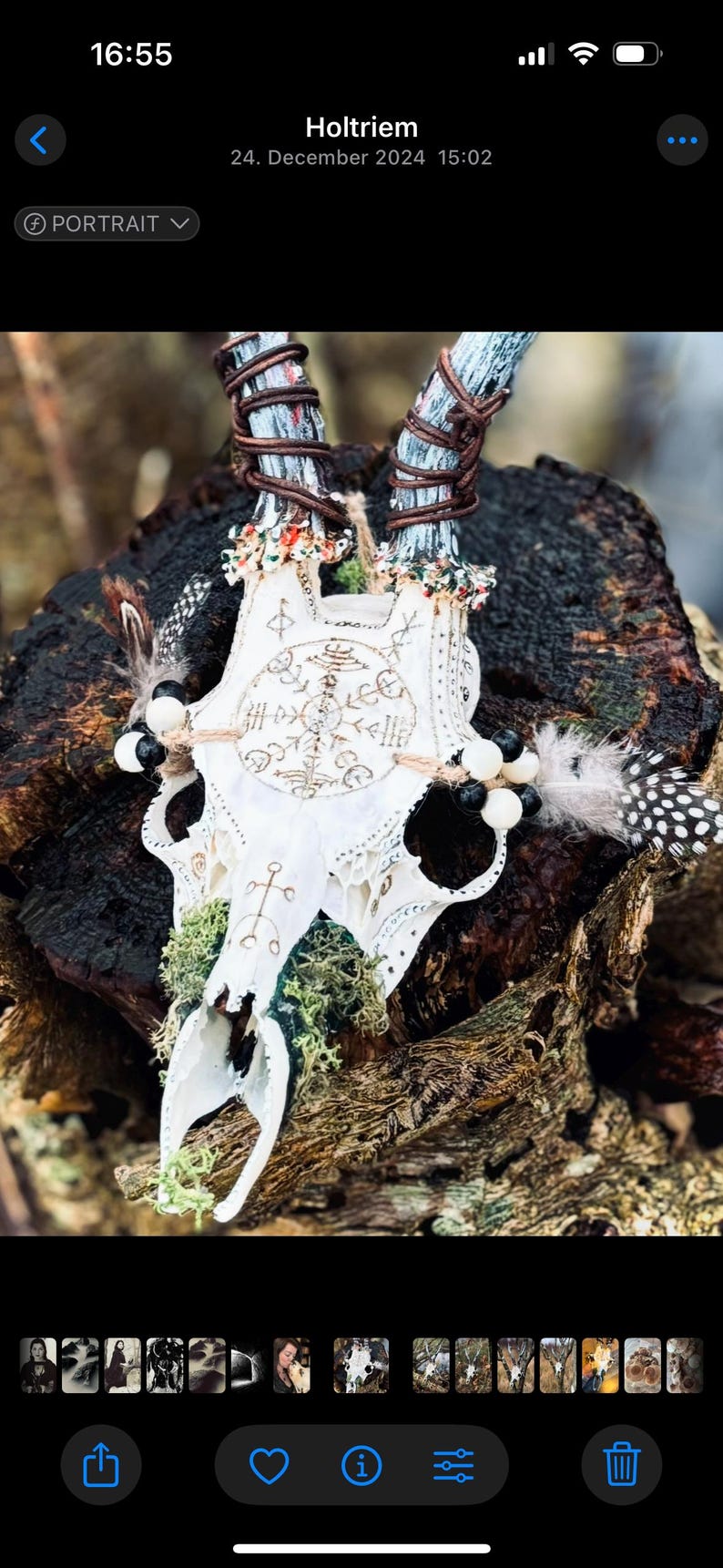 Deer Skull With the Icelandic Sigil Veldismagn - Etsy