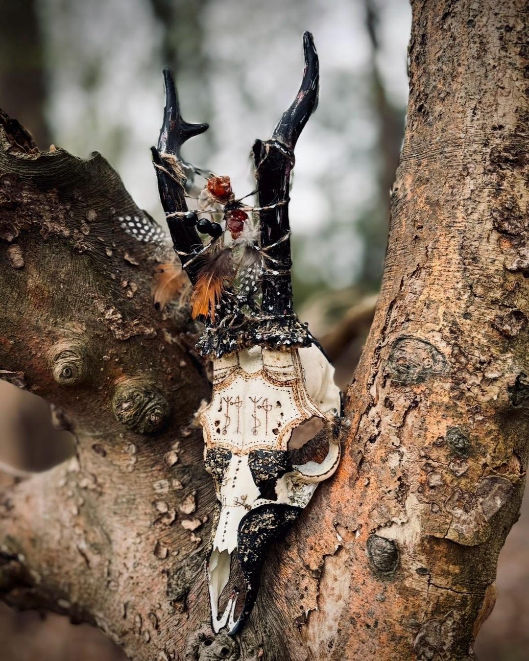 Deer Skull With the Icelandic Sigil Draumstafir - Etsy