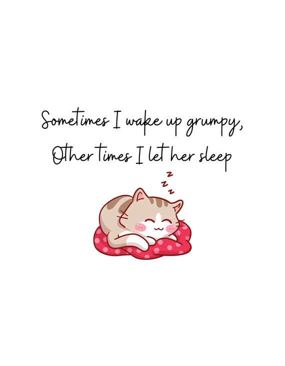 Grumpy Cat Sleep