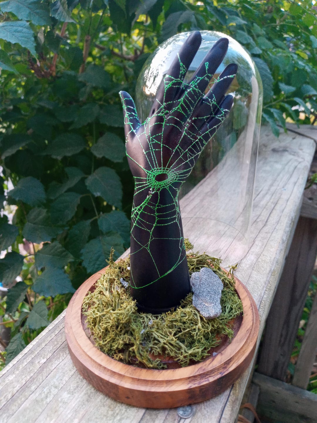 REAL Orb Weaver Spider Web Displayed on a Doll Hand in Cloche Black ...