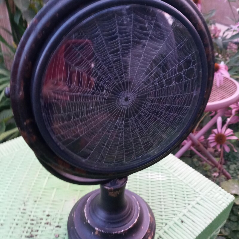 Framed Spider Web - Etsy