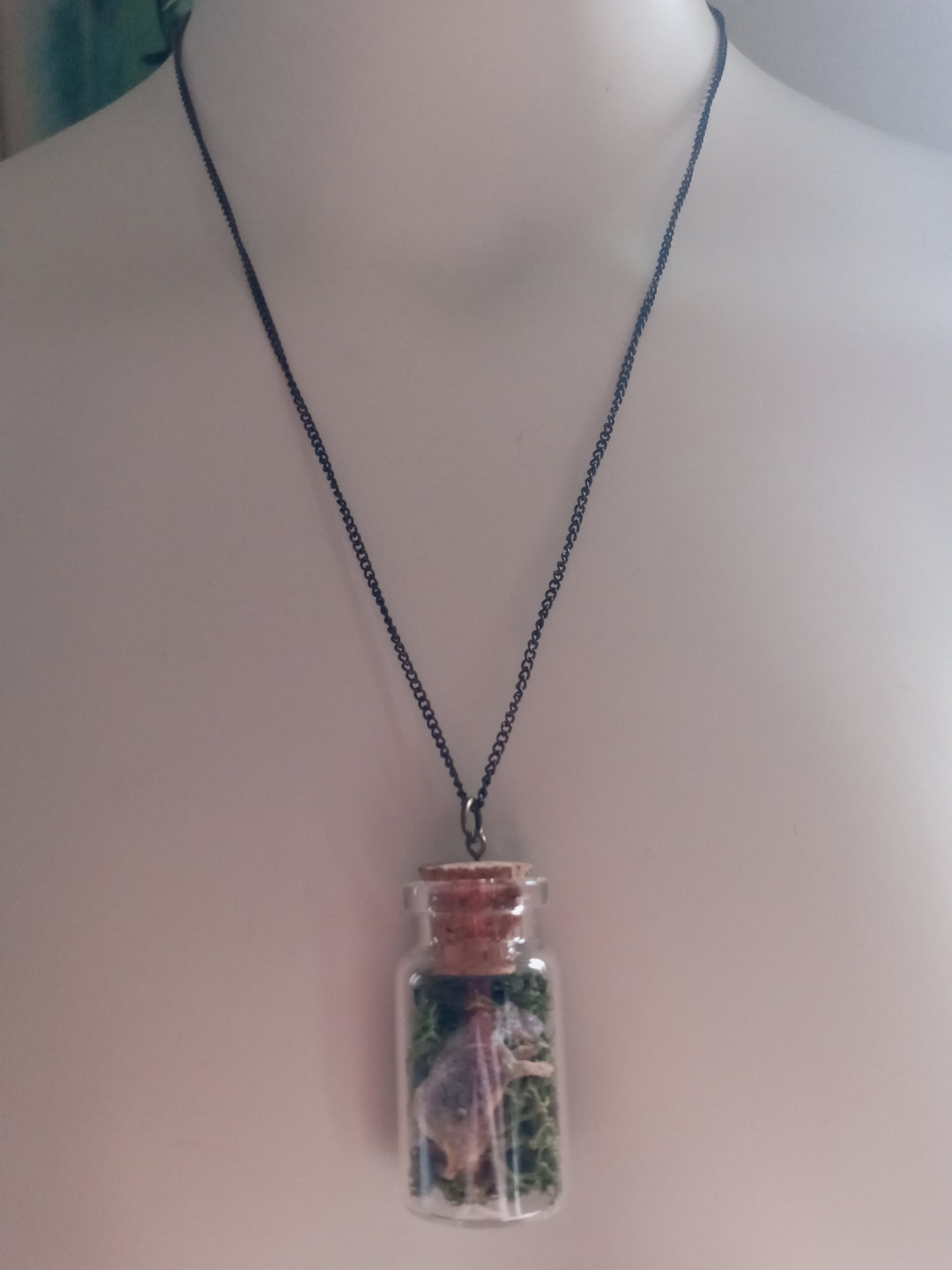 Mummified Baby Mouse Pinky Mouse Vial Necklace Oddities Curiosities ...