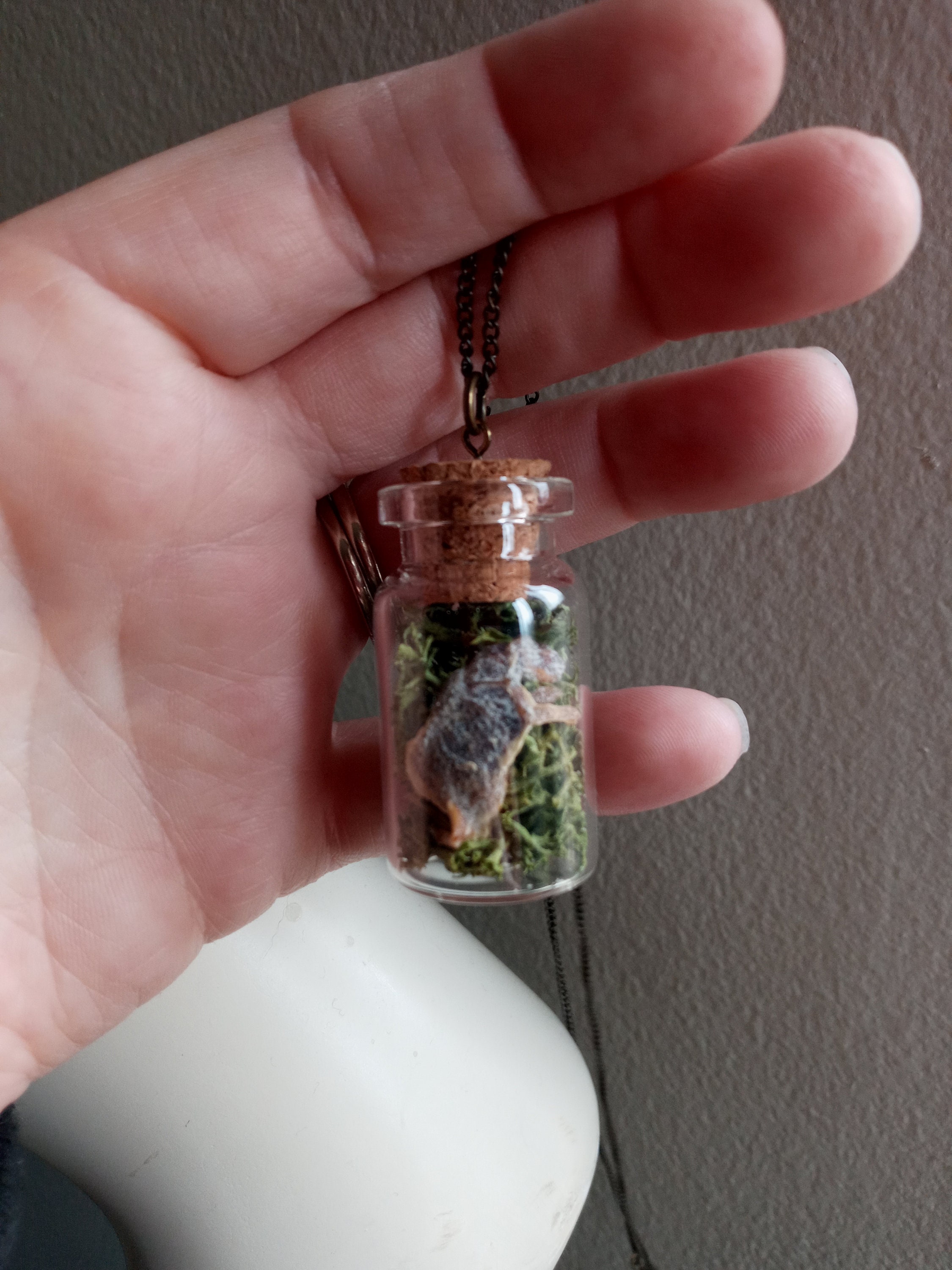 Mummified Baby Mouse Pinky Mouse Vial Necklace Oddities Curiosities ...