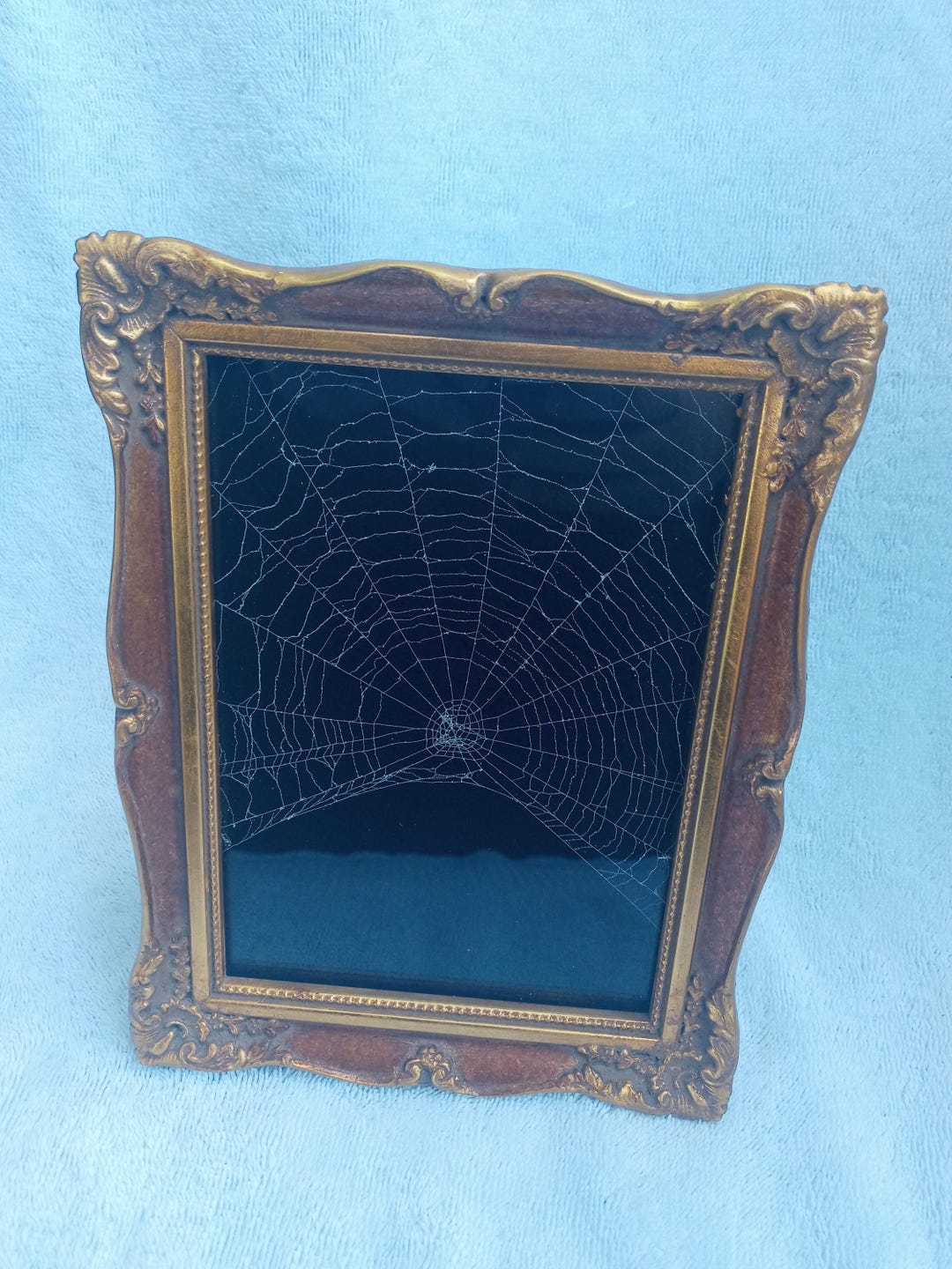 REAL Framed Orb Weaver Spider Web Enhanced Shimmer Glitter Web 8.5 X 6. ...
