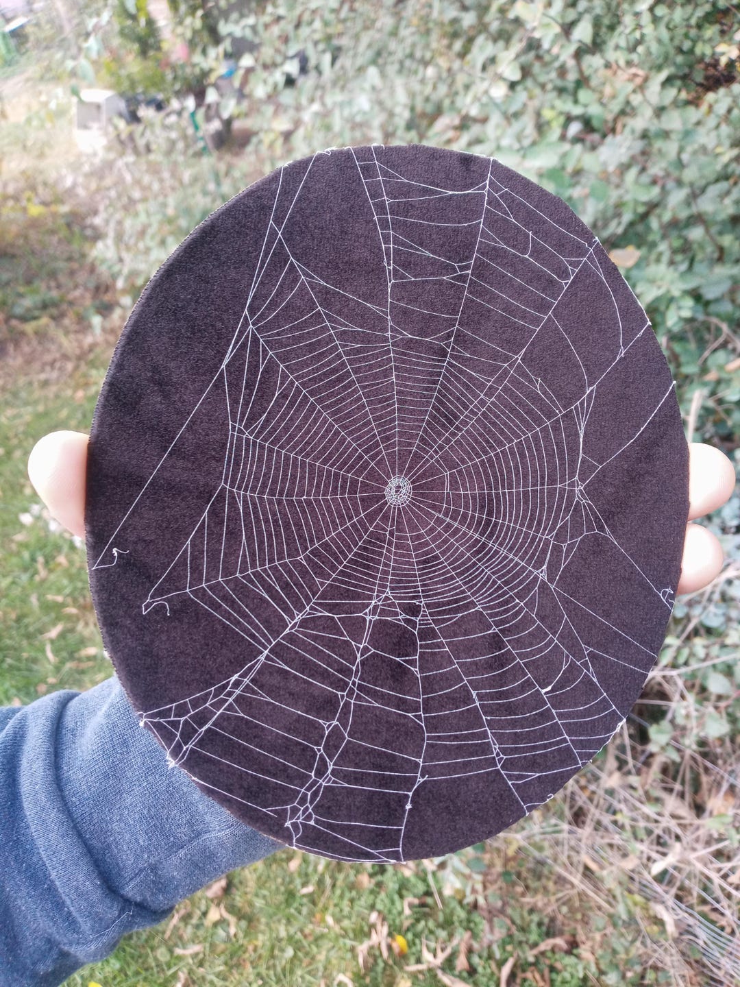 REAL Enhanced Orb Weaver Spider Web in a Vtg Oval Frame 8 X 7 - Etsy