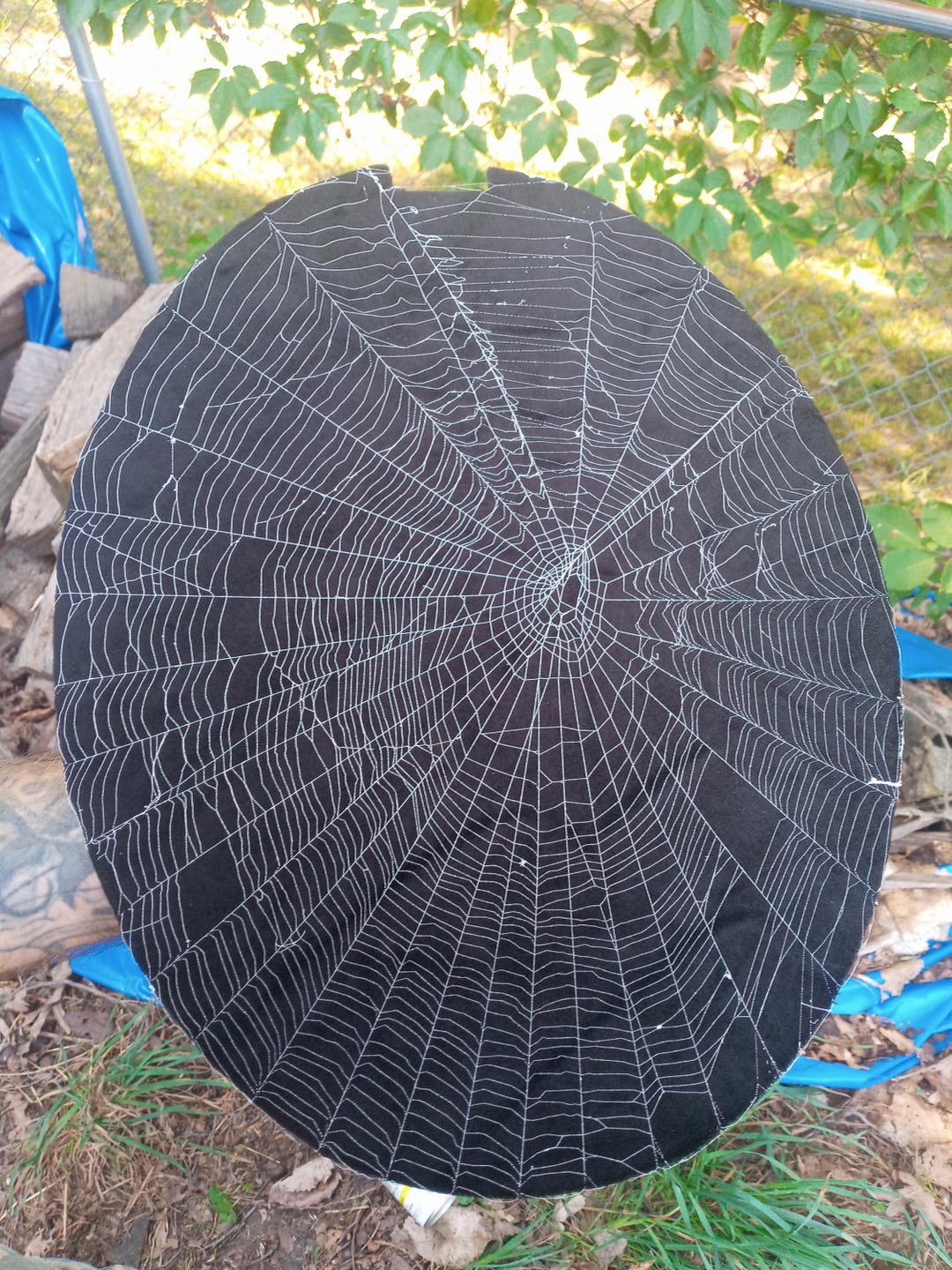 REAL Enhanced White Orb Weaver Spider Web in a Vintage Oval Frame 17 X ...