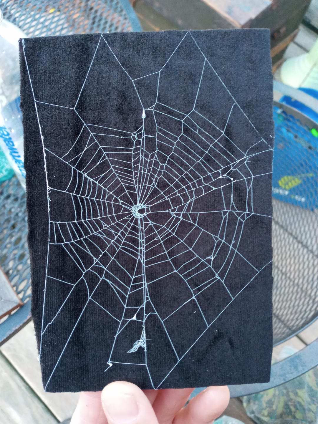 REAL Enhanced Orb Weaver Spider Web Displayed in 8 X 7 Vtg Oval Frame ...