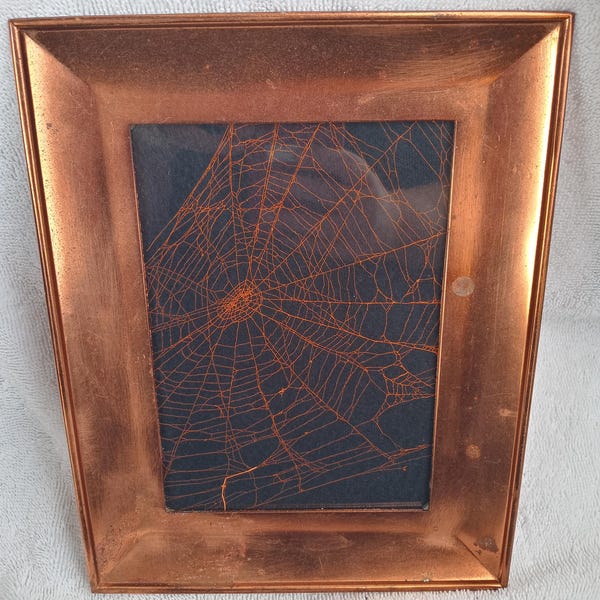 Framed Spider Web - Etsy