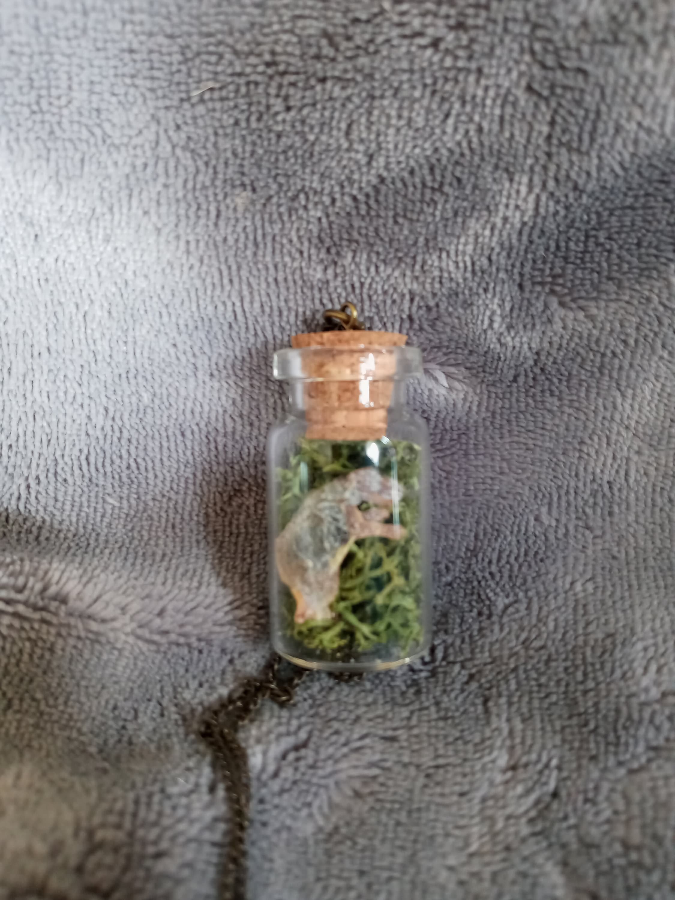 Mummified Baby Mouse Pinky Mouse Vial Necklace Oddities Curiosities ...