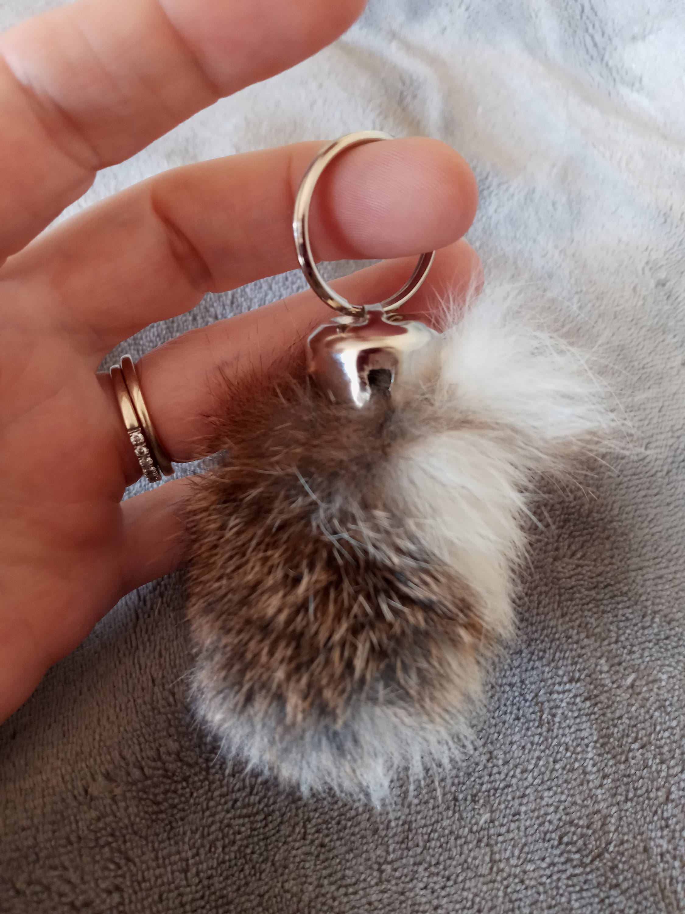 Real Taxidermied Cottontail Rabbit Tail Key Chain - Etsy