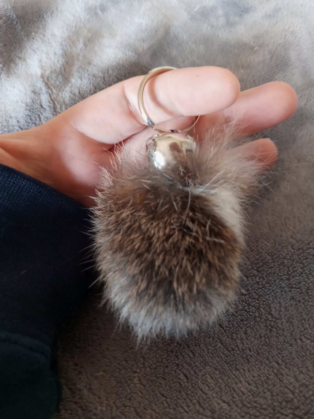 Real Taxidermied Cottontail Rabbit Tail Key Chain - Etsy