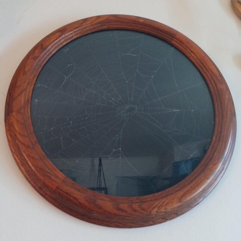 Framed Spider Web - Etsy