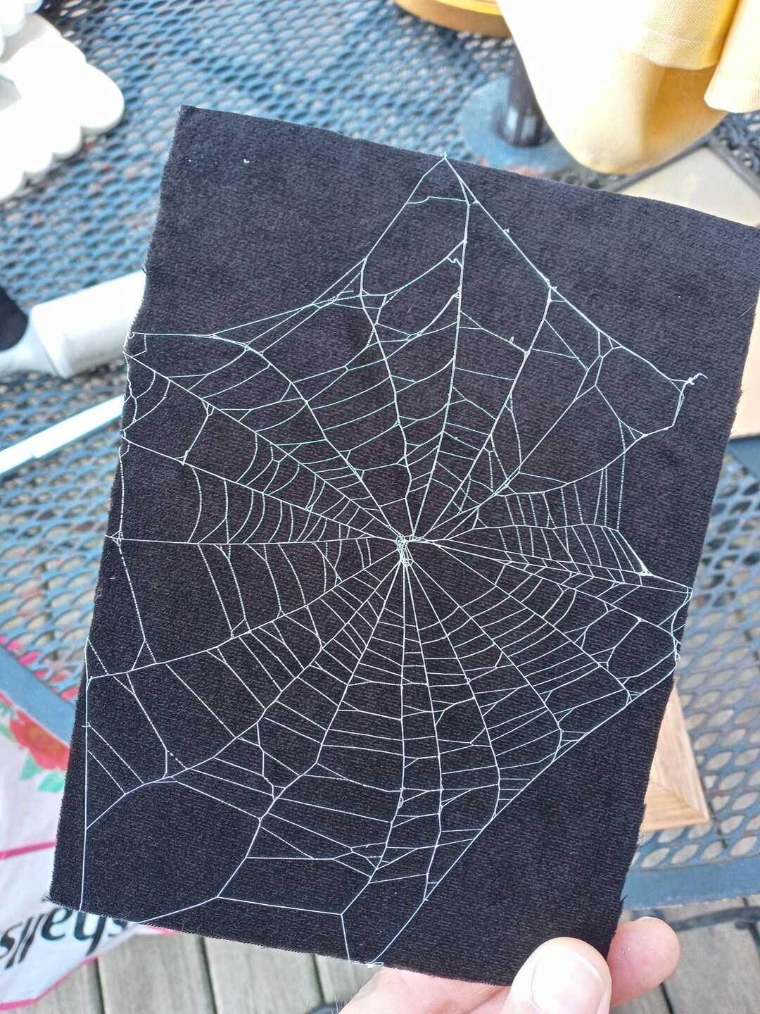 REAL Enhanced Orb Weaver Spider Web Displayed in a 9" X 7" Wood Frame ...