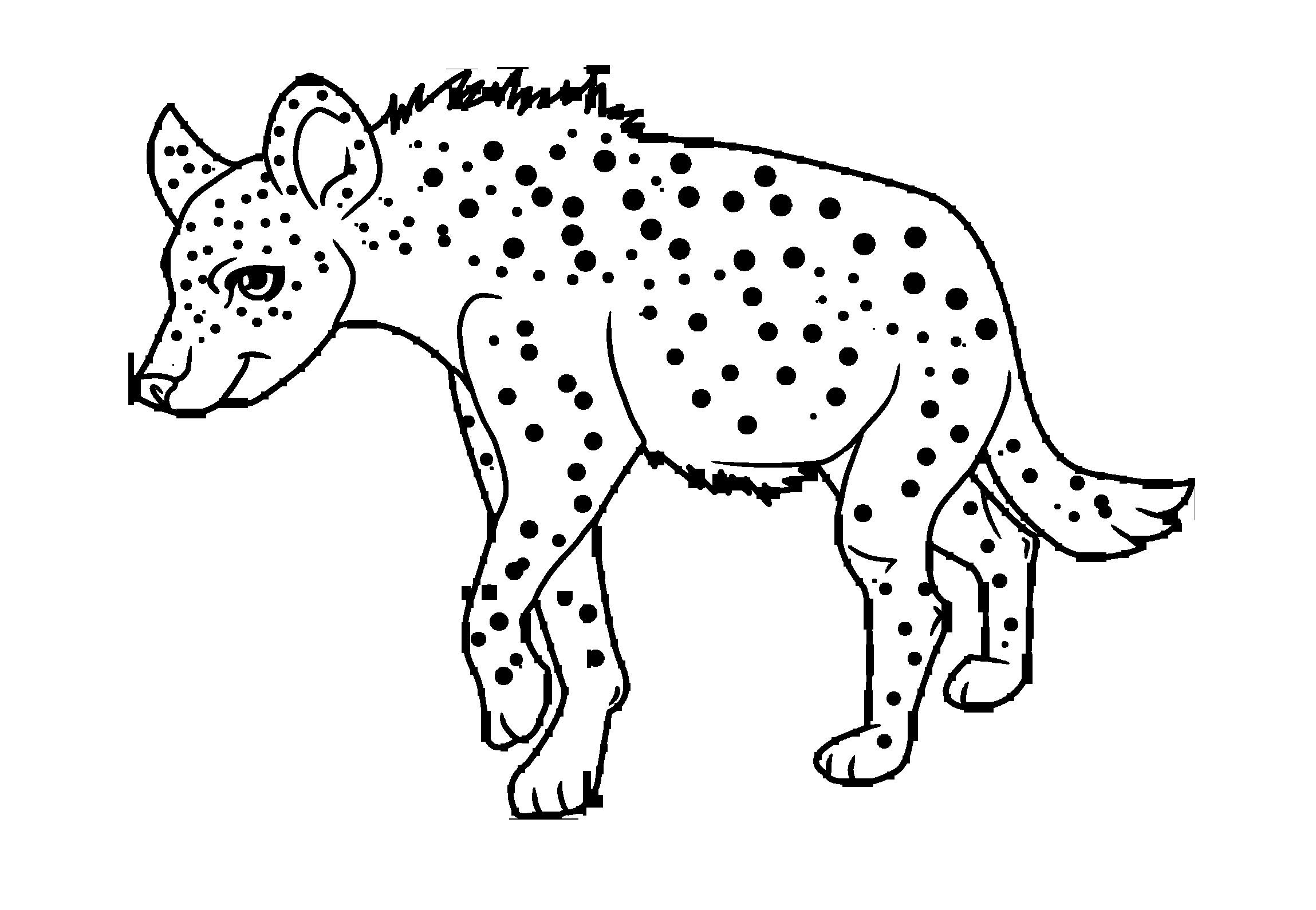 African Hyena Adult Color and Draw Set - Etsy