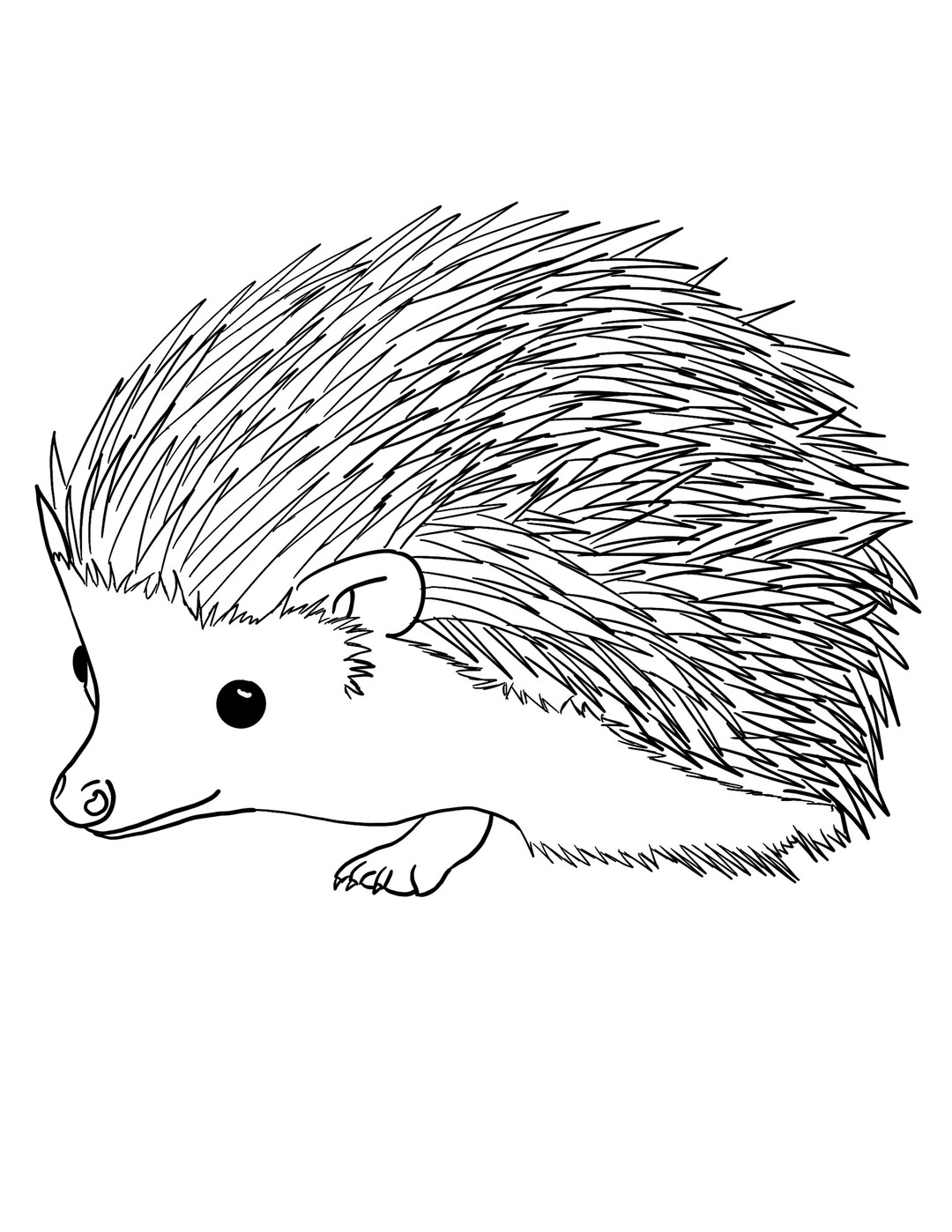 Animal Coloring Set 18 Pages - Etsy